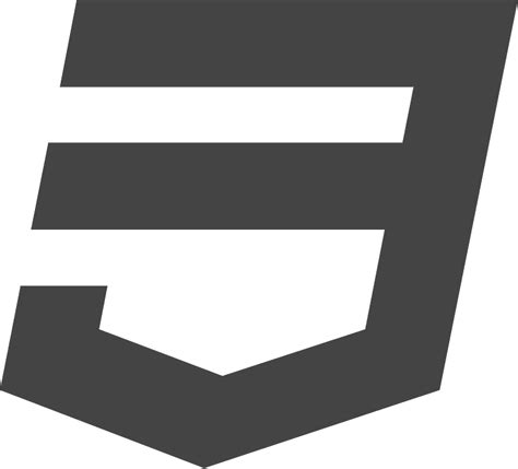 Css3 Vector Logo