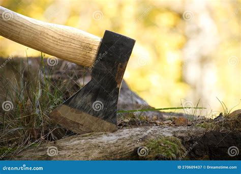 Video Hatchet Tree At Linda Hampton Blog