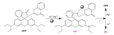 Recent Developments In Rhodamine Based Chemosensors A Review Of The