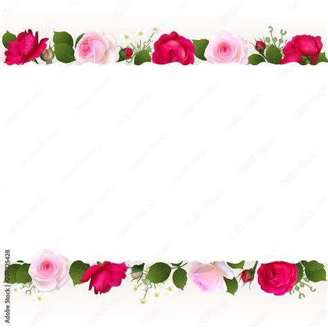 Vector Floral Border
