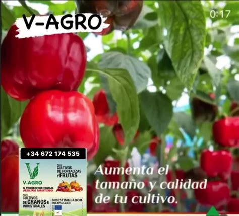 Eugenio Oleinyk Posted On Linkedin