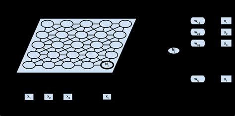 illustration of self organizing feature map network download