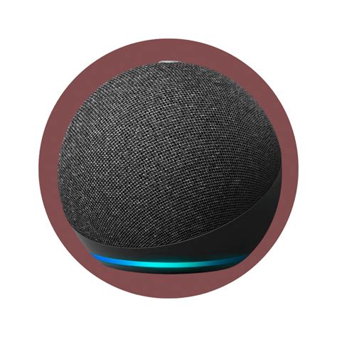 Amazon Alexa Echo Dot 4ta Generacion Branovi