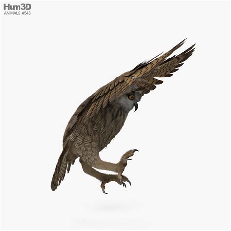 Eurasian Eagle Owl Attacking 3d Model Download Birds On
