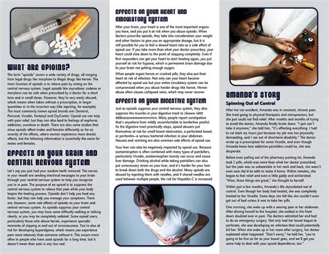 Cause And Effect Opioids And Your Body Pamphlet Primo Prevention