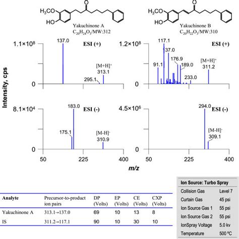 Typical Msms Product Ion Spectra Of Yakuchinone A And B The