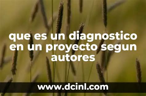 Que Es Un Diagnostico En Un Proyecto Segun Autores