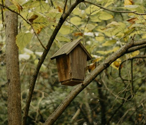 Caseta Ocell Arç Cooperativa