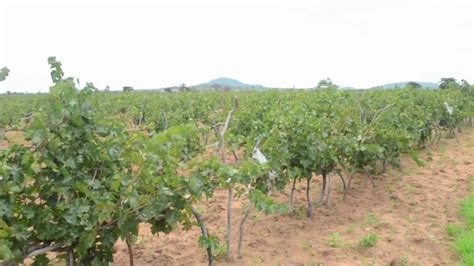 Dodoma Fm Ipo Kwa Ajili Yako