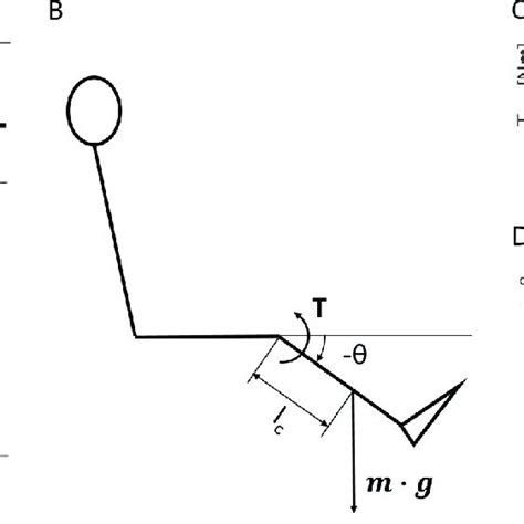 A Kinematic Features Of Lower Leg Kinematics During The Pendulum Test