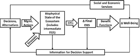 1 Conceptual Model Of Ecosystem Goods And Services Egs Research