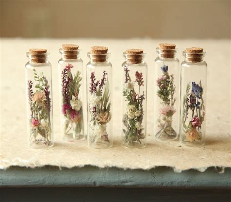 9 Dried Flowers Ideas Dried Flowers Pressed Flower Crafts Cute Crafts