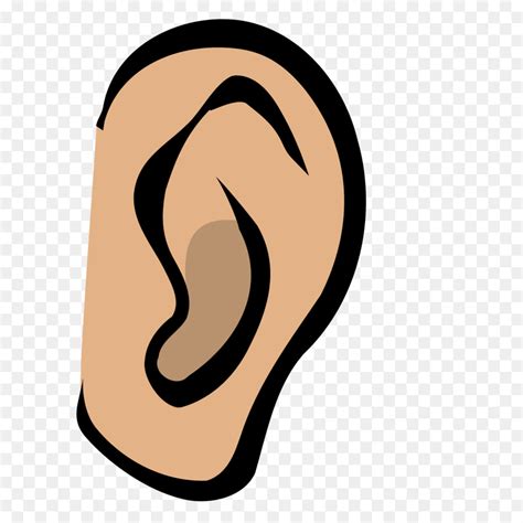 Clipart Ears