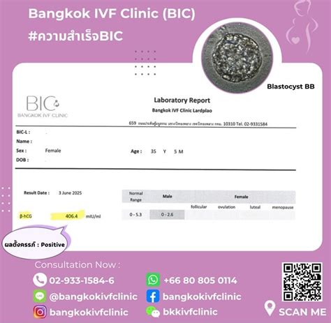 Bangkok Ivf Clinic Bic Bangkok