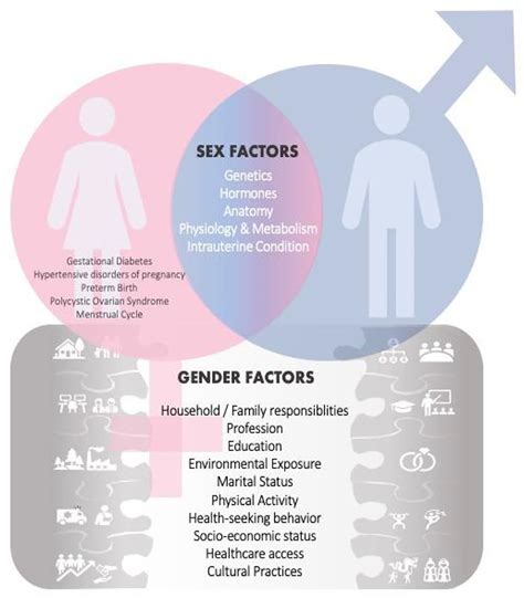 Frontiers Gender Dimension In Cardio Pulmonary Continuum