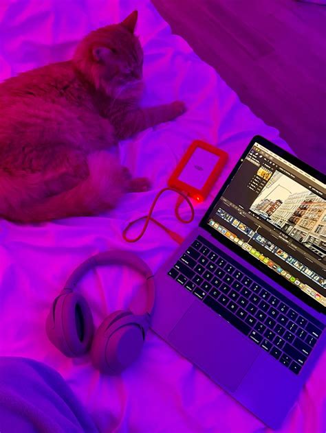 Katelyn Dewitt ♡ Katelyndewitt • Instagram Photos And Videos