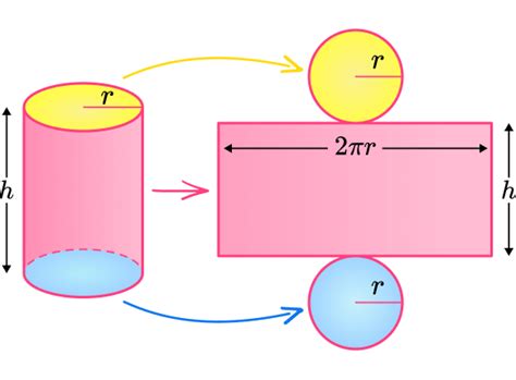 Surface Area Of A Cylinder Math Steps Examples And Questions
