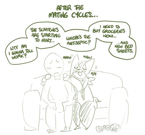 Meowscarada Pokedex Pokemon Characters Fandoms Funny