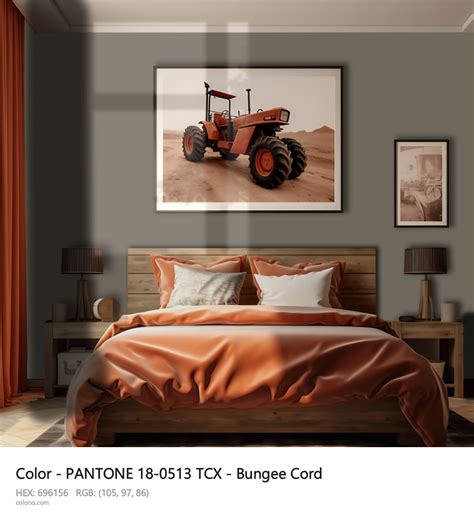 About Pantone 18 0513 Tcx Bungee Cord Color Color Codes Matching