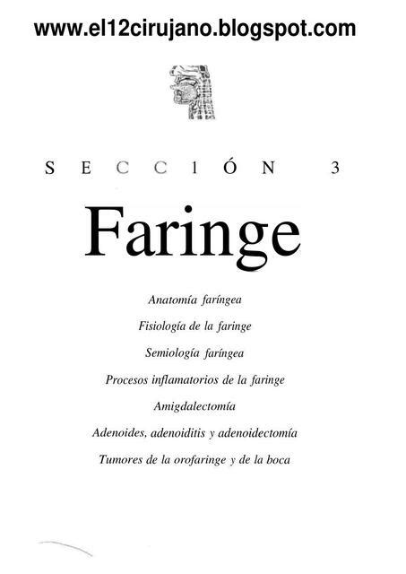 Faringe Marilia Karine Udocz