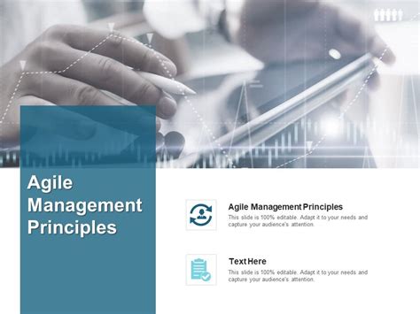 agile management principles ppt powerpoint presentation portfolio