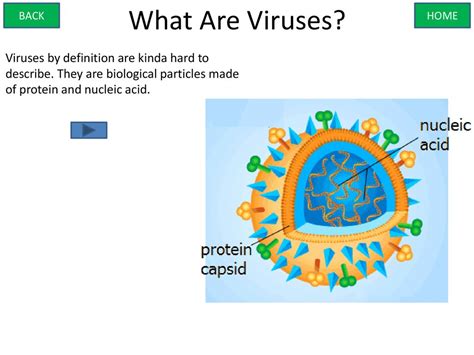 Press The F5 Button On Your Keyboard To Start The Tutorial Ppt Download