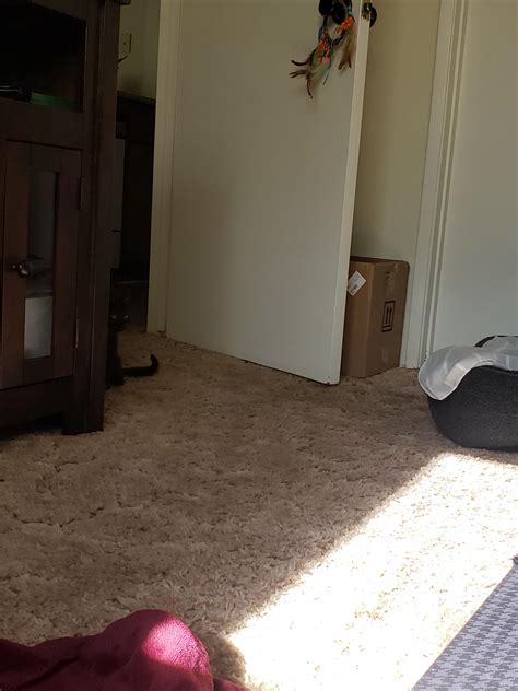 Almost Didnt See Ya There Kwassi 🖤 Scrolller