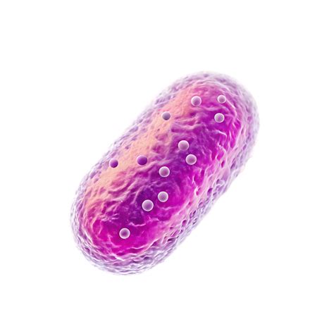 Microscopic View Of A Single Bacterium Cell 60119298 Png