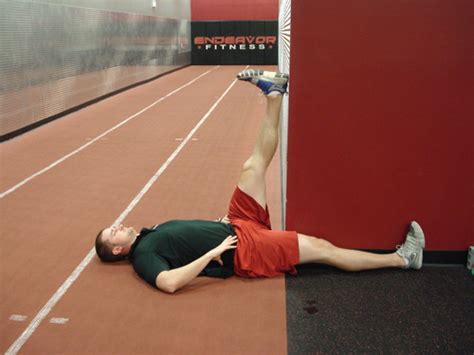 NASM Module Flexibility Training Concepts Flashcards Quizlet NASM Module Flexibility Training Concepts Flashcards Quizlet