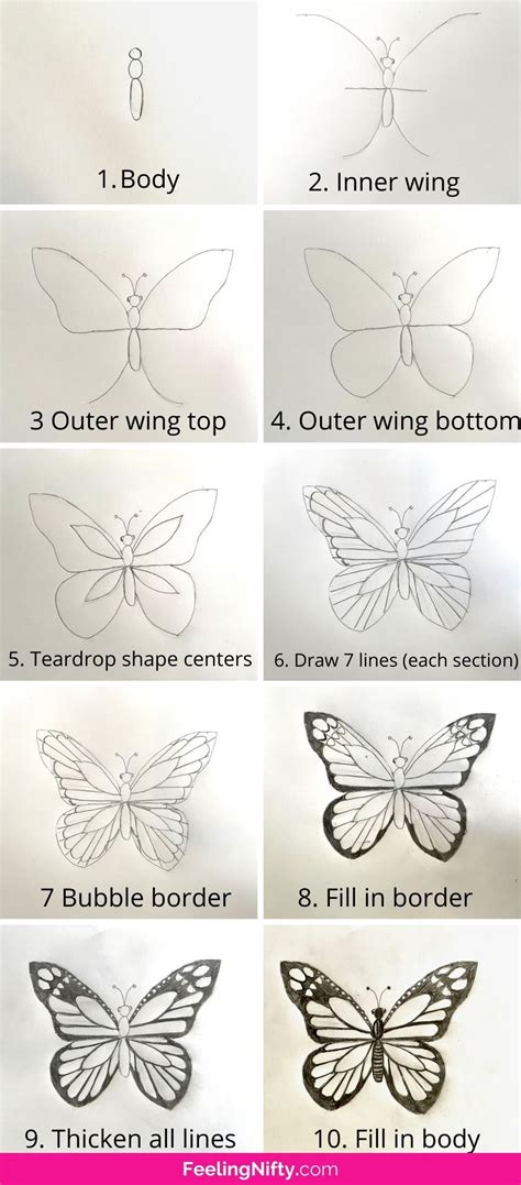 An Amazing Collection Of Over 999 Butterfly Drawing Images In Full 4k