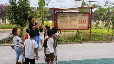 告成镇阳城中心幼儿园 丝瓜园里欢乐多教师随笔dfedu