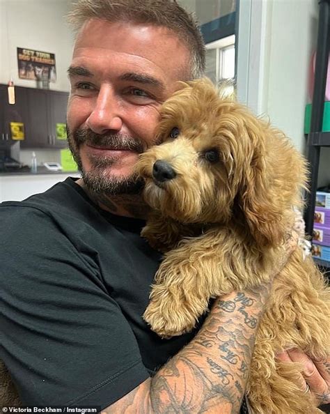 Victoria Beckham Shares Adorable Snap Of David Cosying Up To Their