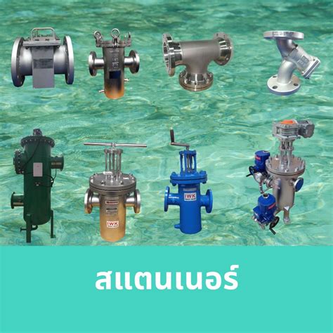 Strainerfiltervalve Strainer Filter