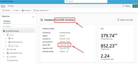 Querying Kql Database In Fabric Notebook Using Python Sdk
