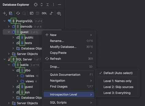 Datagrip 20252 Database Object Context In The Ai Chat Introspection By Levels For Postgresql