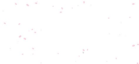 special effects 樱花飘落背景特效