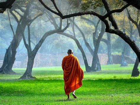 Buddhist Monk