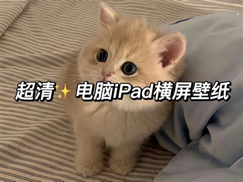 Ipad高清壁纸4k全屏无水印横屏 抖音
