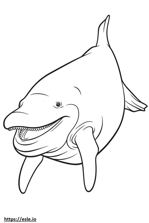 Bowhead Whale Cartoon Coloring Page