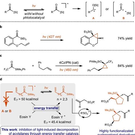Scope For The Synthesis Of β Substituted Cyclopentanol Derivatives A
