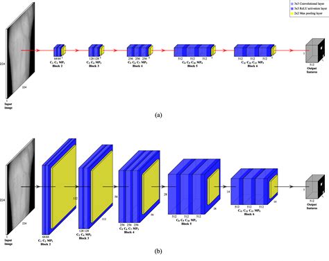 Figure 1 From Deep Learning For Vein Biometric Recognition On A Smartphone Semantic Scholar