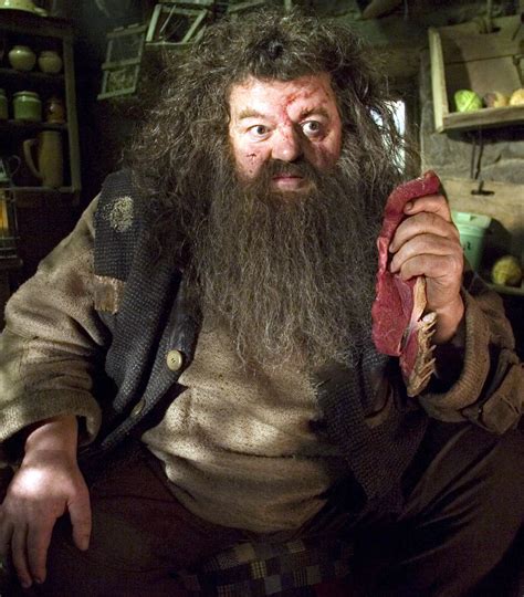 My Into Harry Potter