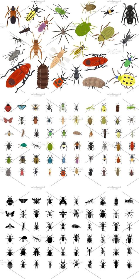 60 Insects Vector Icons