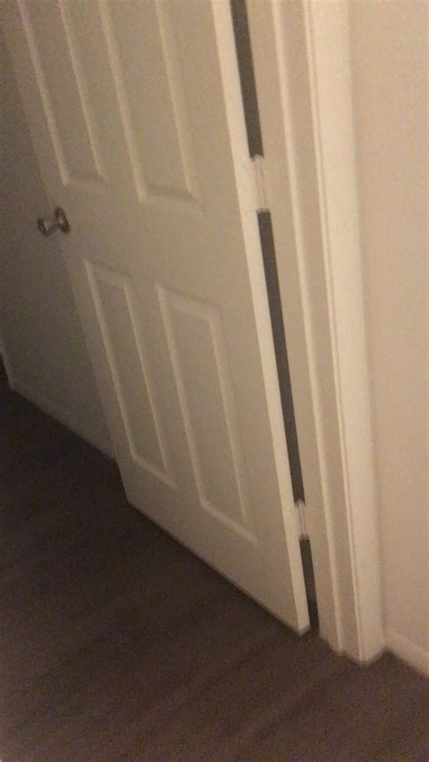 Any Clue Whats Screaming In My Walls I Live In Austin Tx And This
