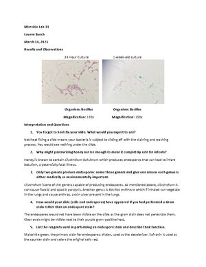 Lab Report 16 Eosin Methylene Blue Agar Microbio Lab 16 March 28