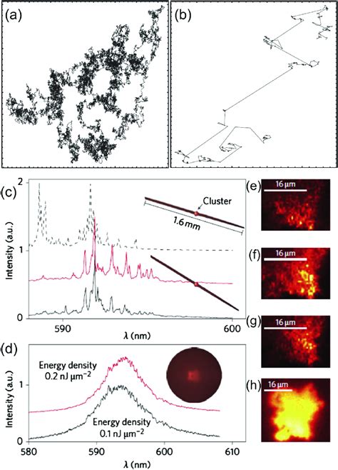 A And B Exemplary Trajectories Of Random Walks For Normal Download Scientific Diagram