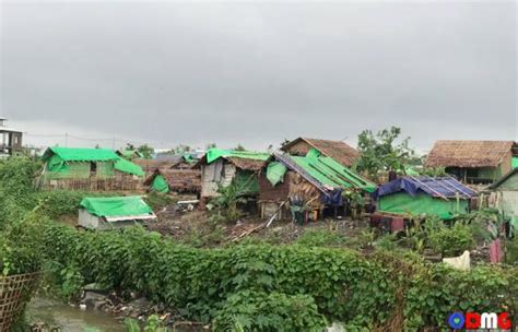 ရခိုင်တွင်စားသုံးဆီဖူလုံရေး ဆီထွက်သီးနှံများ ပိုမိုစိုက်ပျိုးရန်လိုအပ