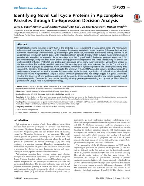 Pdf Identifying Novel Cell Cycle Proteins In Apicomplexa Parasites