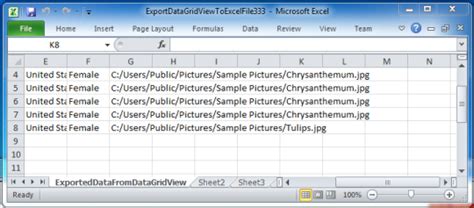 How To Import Excel To Datagridview In C How To Import Excel To Datagridview In C Net Windows