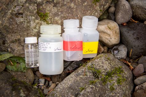 Lookout Creek Water Sampling 2022 Andrews Forest Research Program